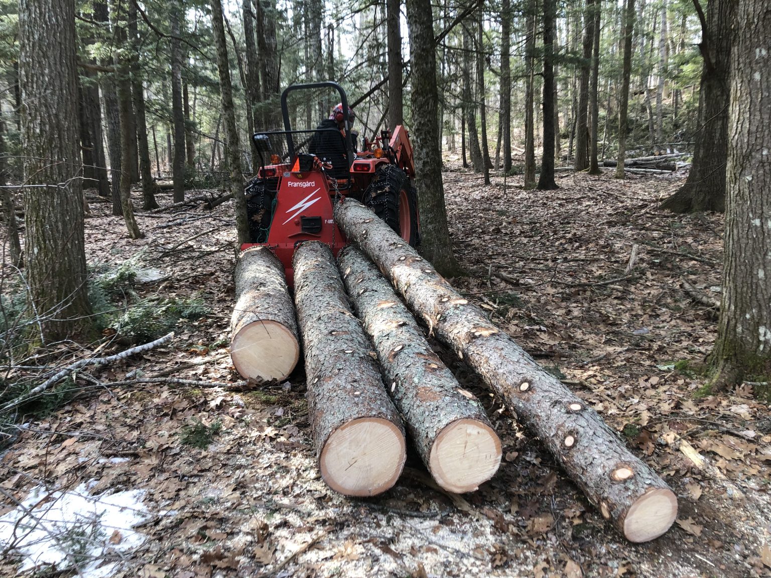 Forestry Woods Walk, Logging and Milling Demo – Aldermere Farm