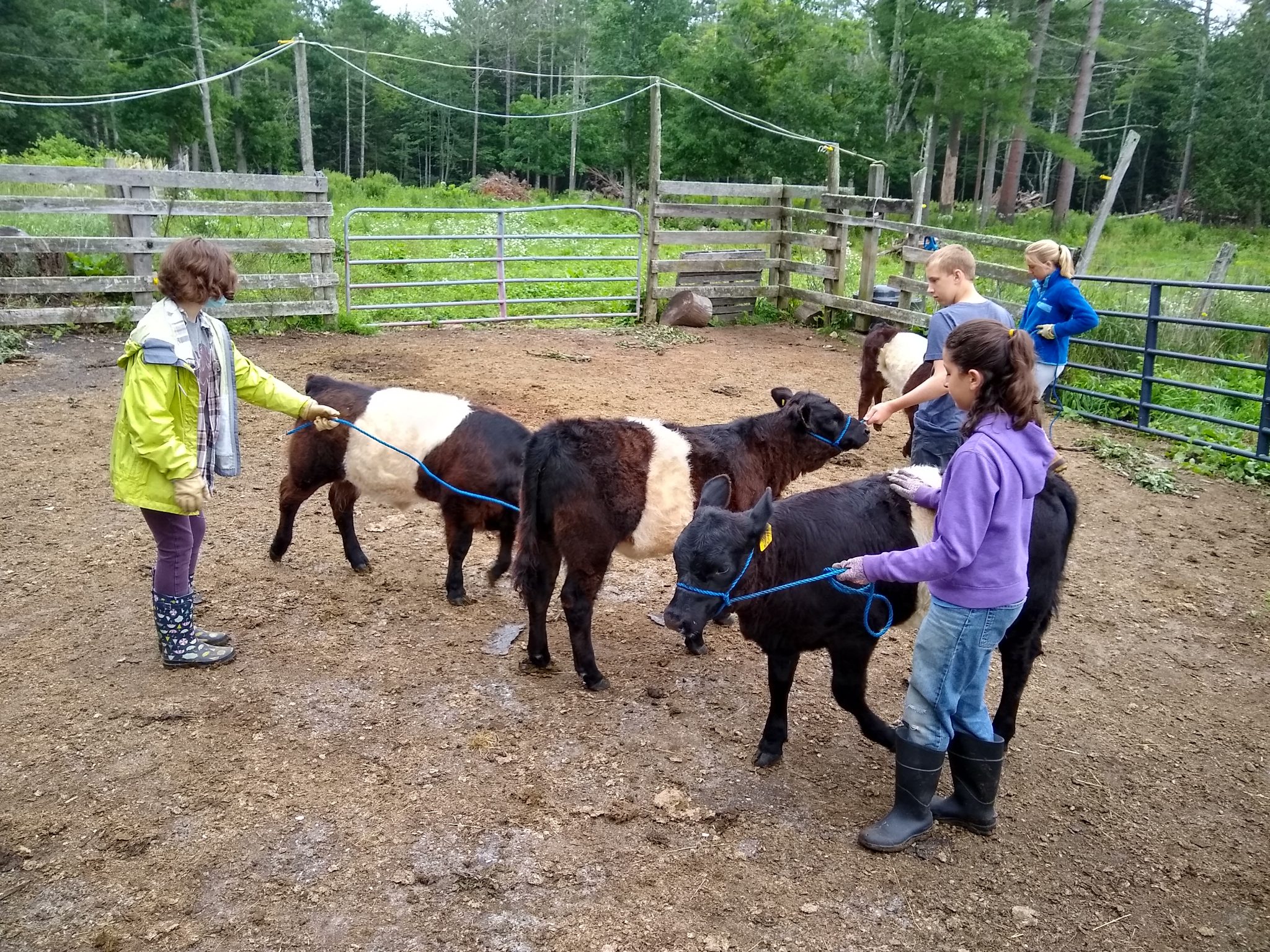 Farm Hands Late Summer Session – Aldermere Farm